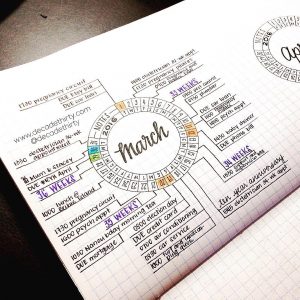 How To Draw a Circle Tracker (A Step-by-Step Guide) - Little Miss Rose